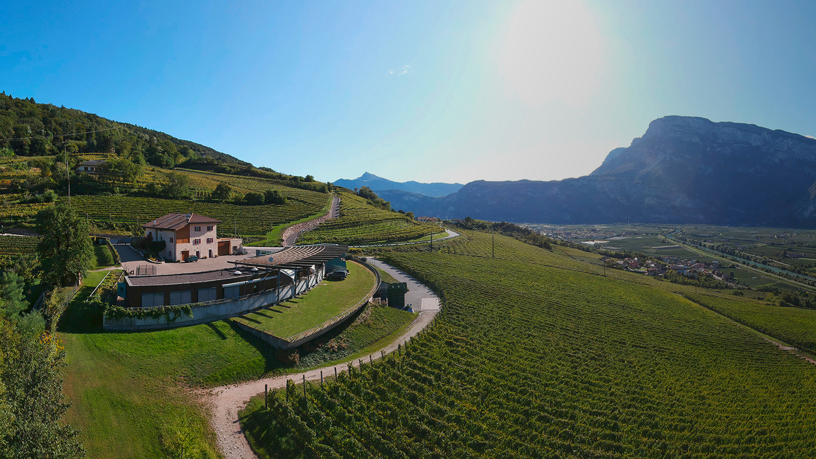 Maso Poli - Armonia di terra trentina, vigneti e famiglia
